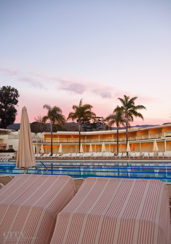 Coral at Sunset in Santa Barbara