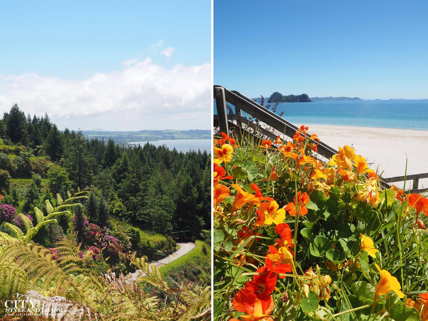 Resource Guide New Zealand's North Island